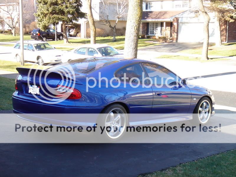 Shes all stored "pics" | LS1GTO Forums