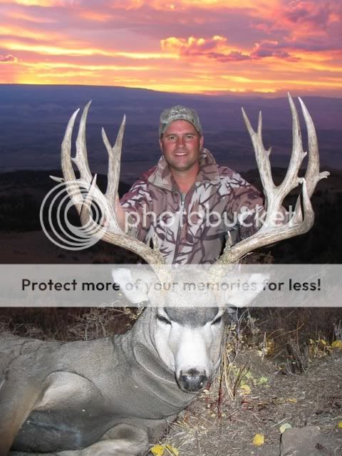 San Juan/Elk Ridge | Utah Wildlife Forum