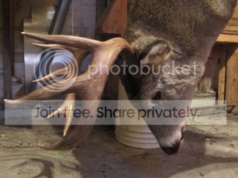 post your pics of your biggest bucks! | Manitoba Hunting Forums