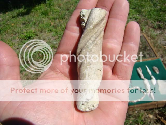 Shell Artifact ?? Or not. | TreasureNet.com
