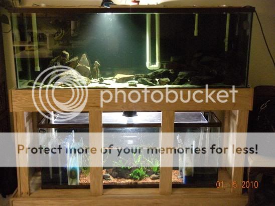 80gal. DIY Refugium | The Planted Tank Forum