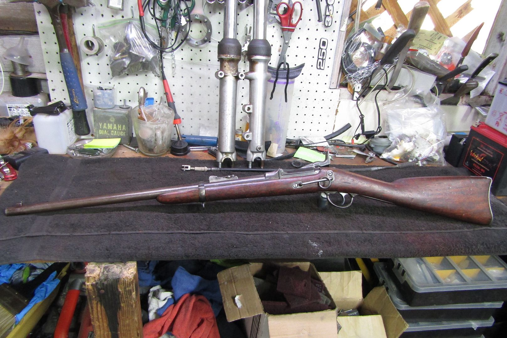 Here's my grail gun, Custer Range Carbine #36144 > General Discussion ...