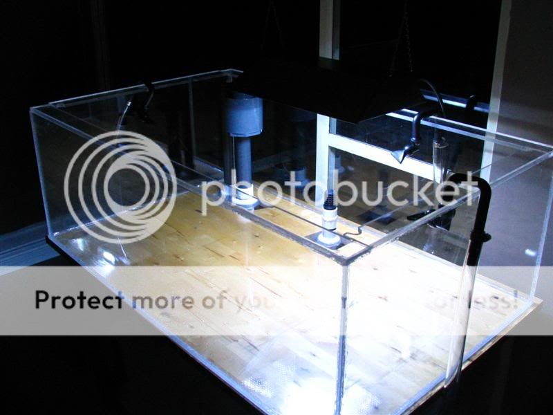 DIY acrylic frag tank | Reef2Reef